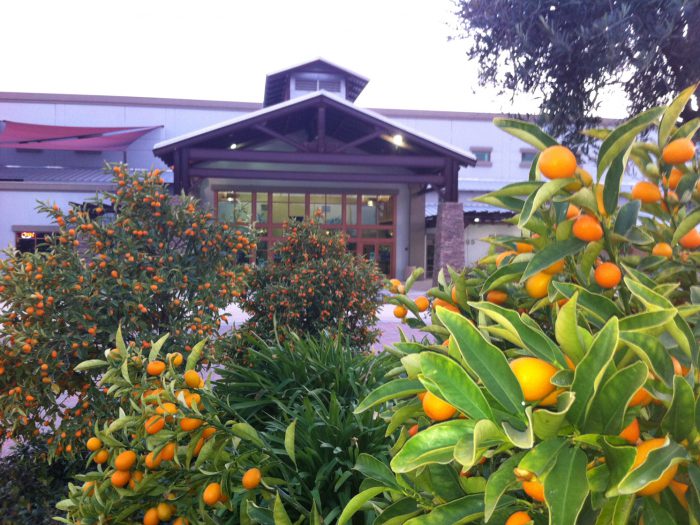 Packinghouse Redlands :: 27165 San Bernardino Avenue :: Redlands, CA 92374